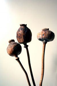 Moms Who Think - Crafts Ideas From Nature