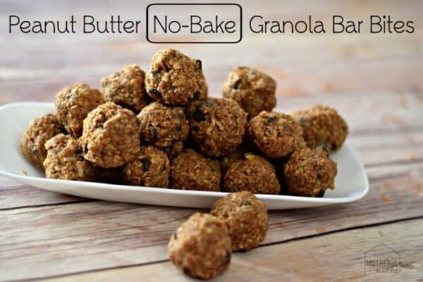 Granola Bar Bites Recipe
