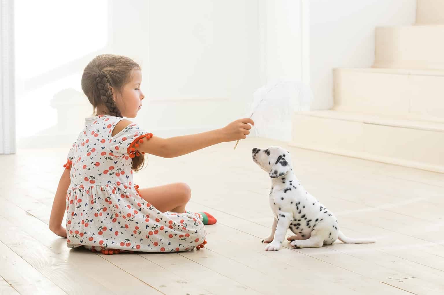 Are Dalmatians Good With Kids? What Parents Need To Know