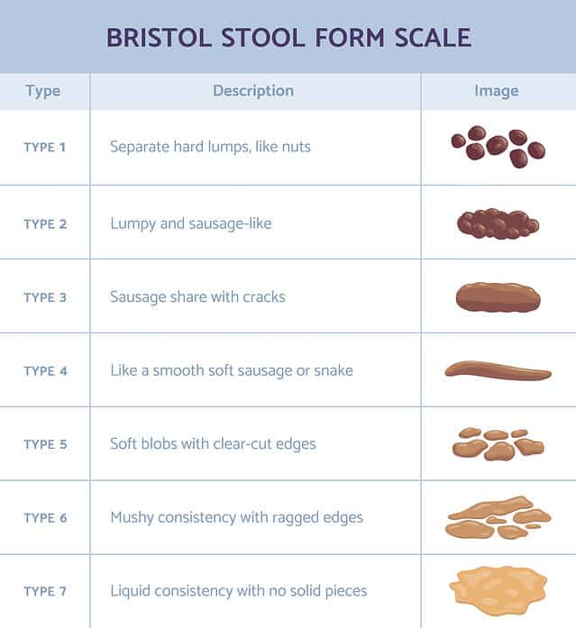 Types Of Poop: A Free Bristol Stool Chart
