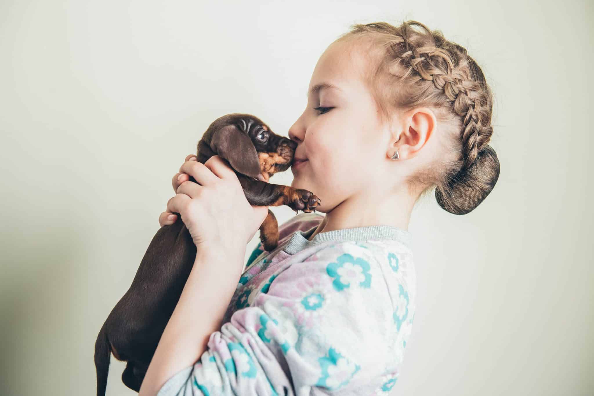 13 Small Dogs That Are Good With Kids