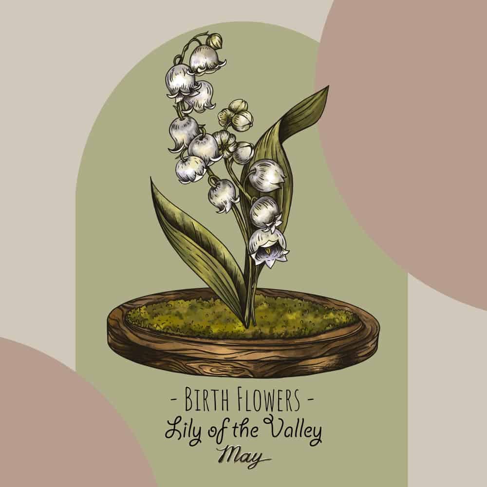 Free Birth Flower Chart, With Meanings