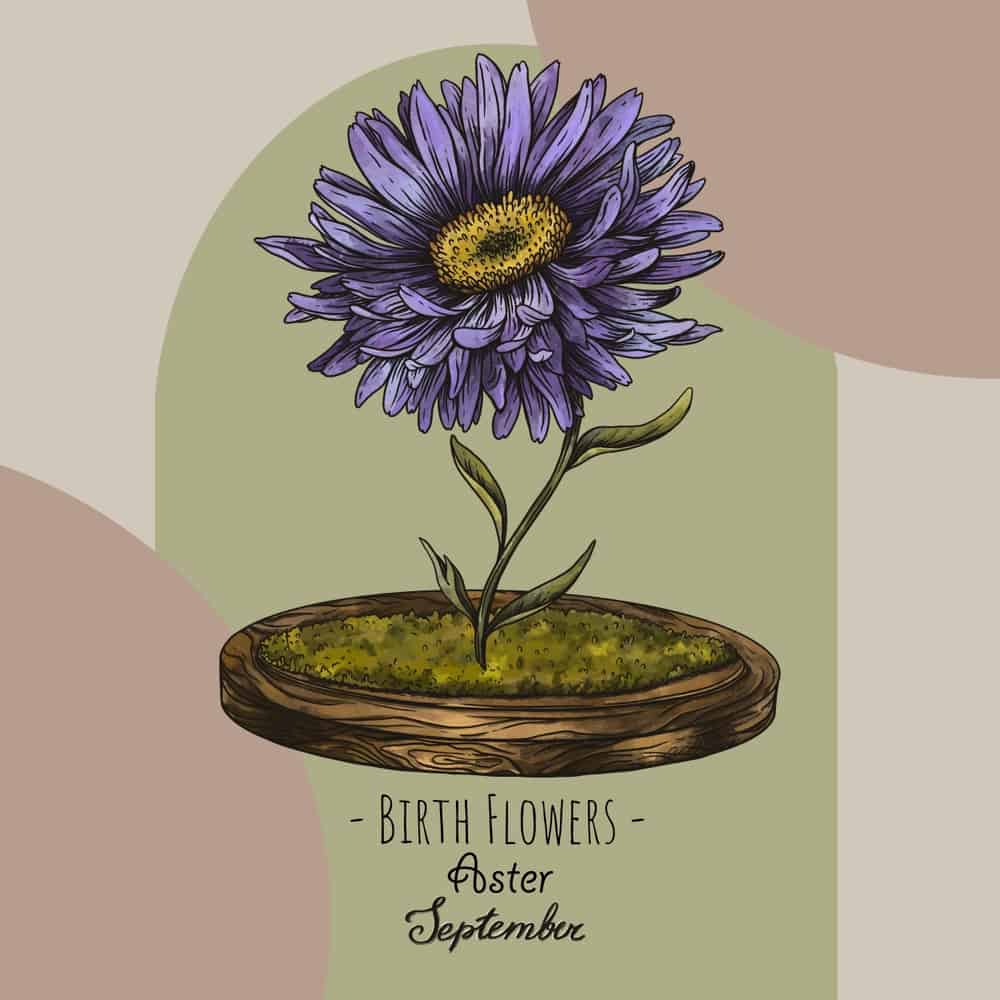 Free Birth Flower Chart, With Meanings