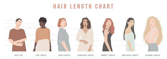 Hair Length Chart To Describe All Lengths