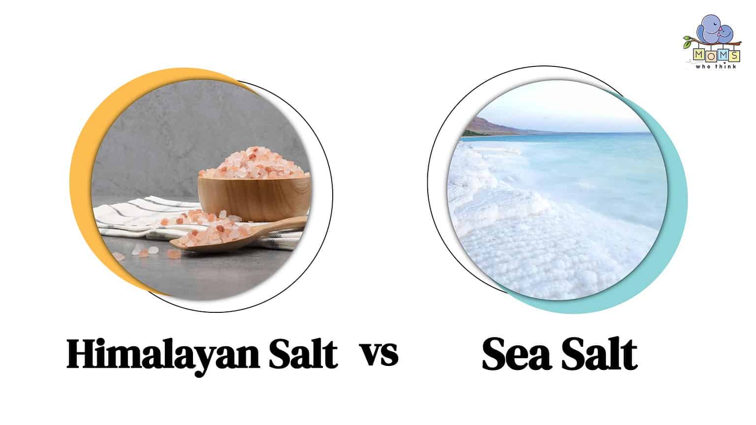 Himalayan Salt vs. Sea Salt: The Notable Differences