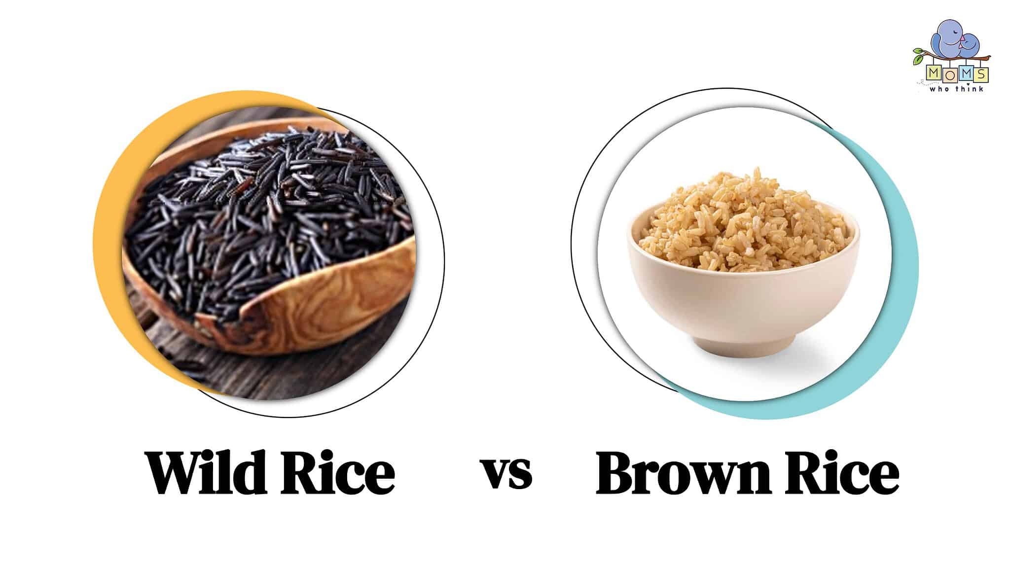 Wild Rice vs. Brown Rice: What Are the Differences?