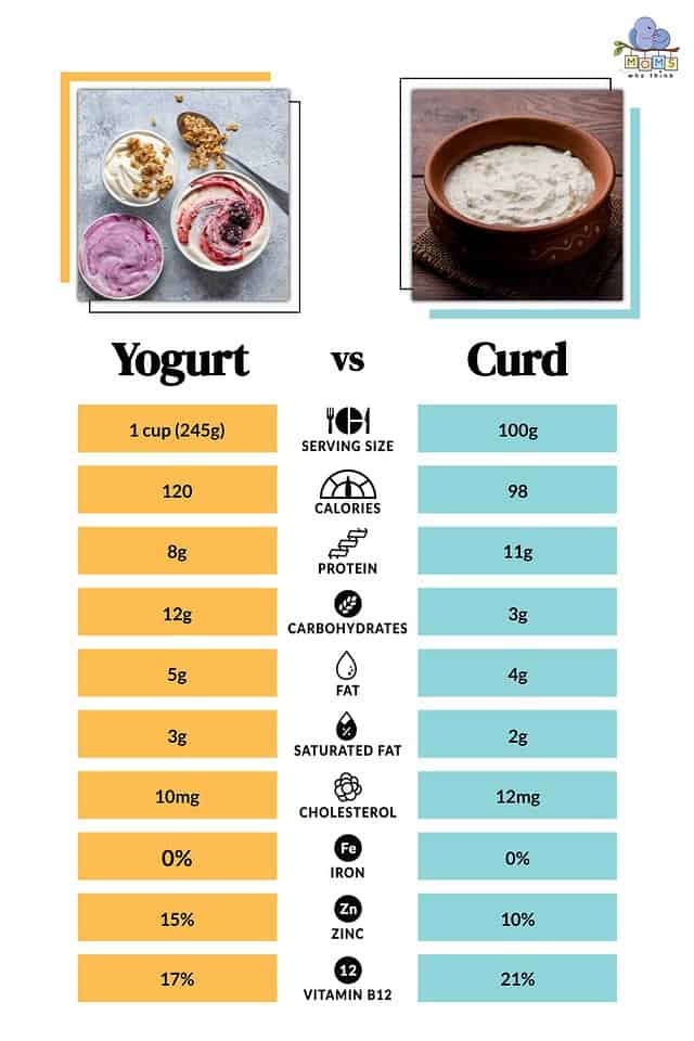 Which Dairy Base To Use: Curd vs. Yogurt