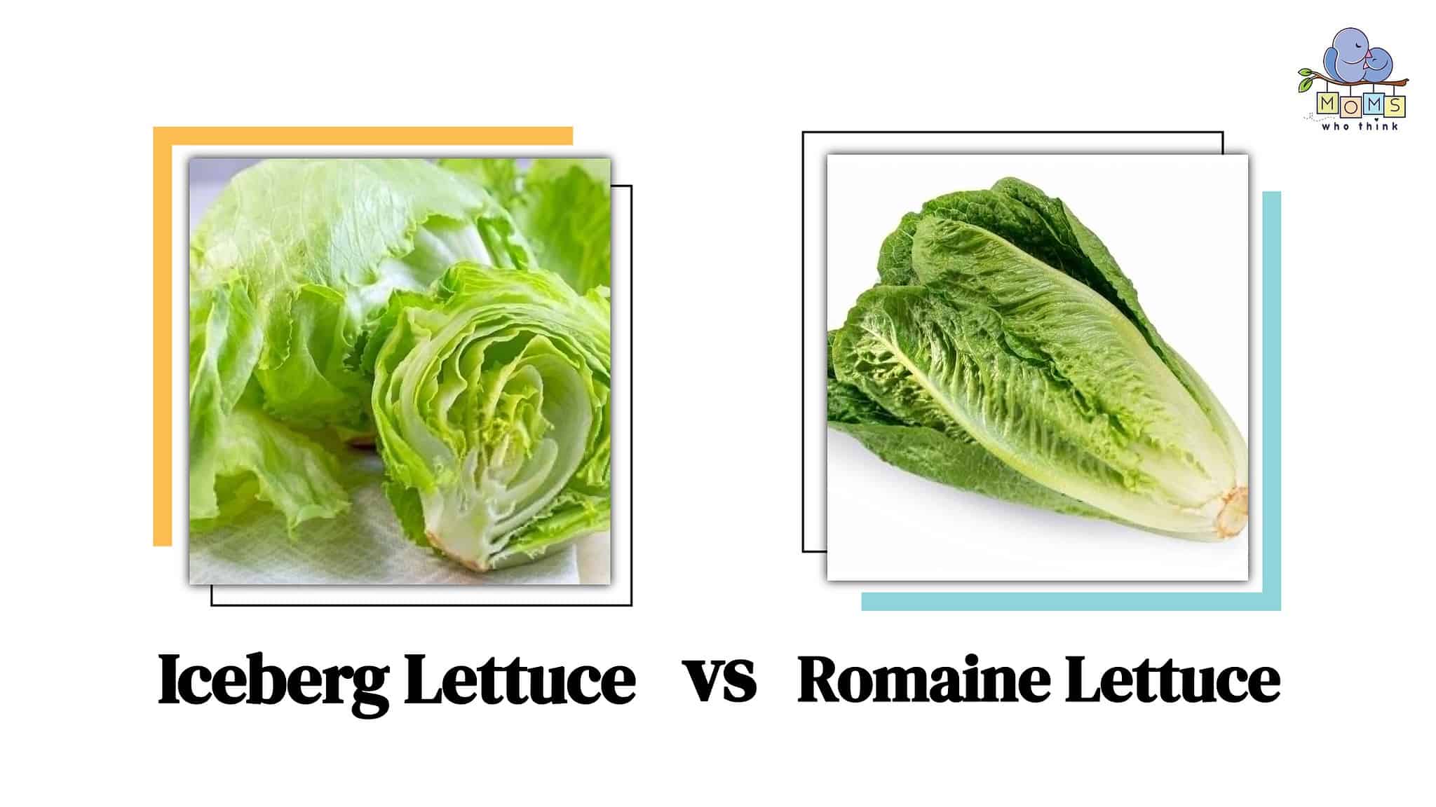 Iceberg Lettuce vs. Romaine: Flavors, Vitamins, and Tasty Substitutes