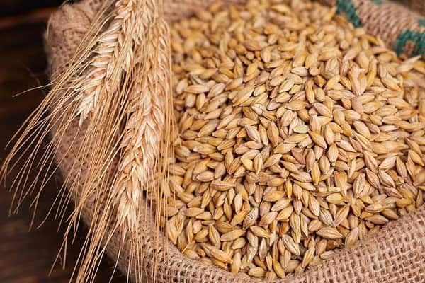 Barley vs. Rice: What's the Difference?