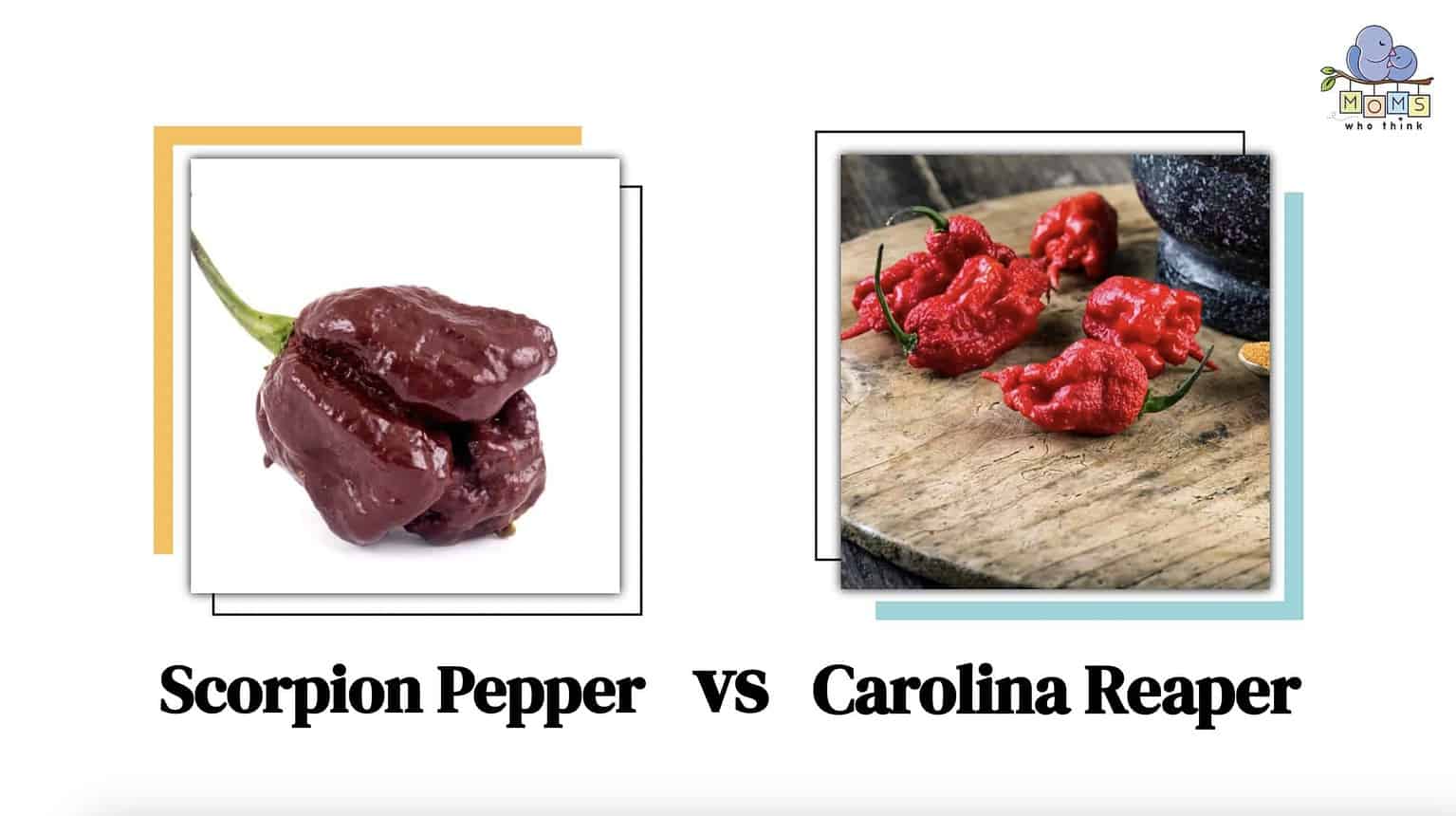 Scorpion Pepper vs. Carolina Reaper: Heat Units, Flavor Differences ...
