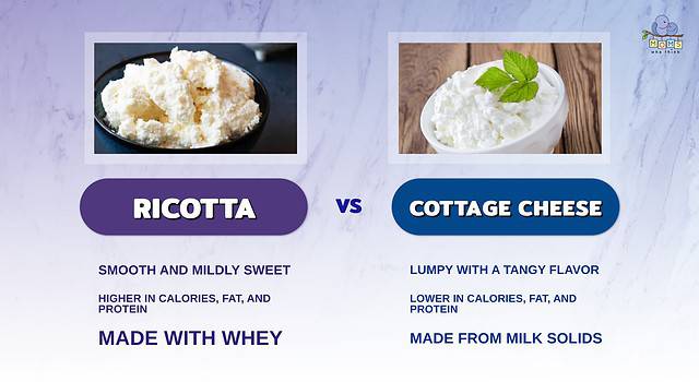 Ricotta vs. Cottage Cheese: Differences, When to Use Each, and Nutrition