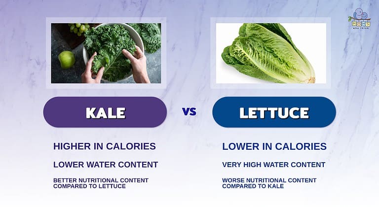 Kale vs Lettuce: Difference in Classification and Nutrients