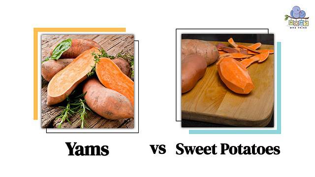 Yam vs. Sweet Potatoes: 7 Key Differences & Full Nutritional Comparison