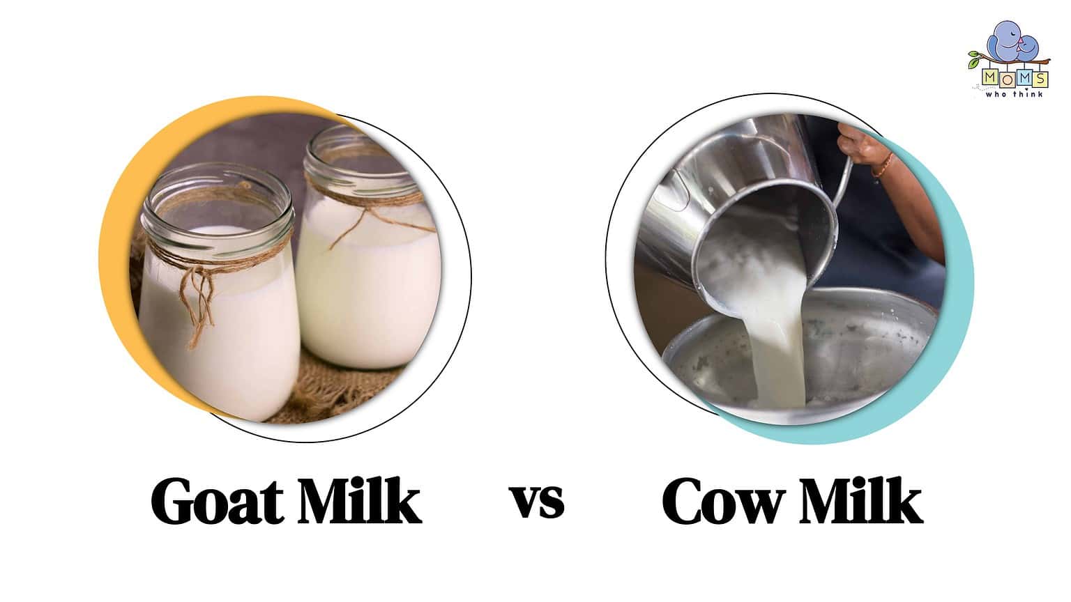 Goat Milk vs. Cow Milk: 3 Key Differences from Digestibility to Taste