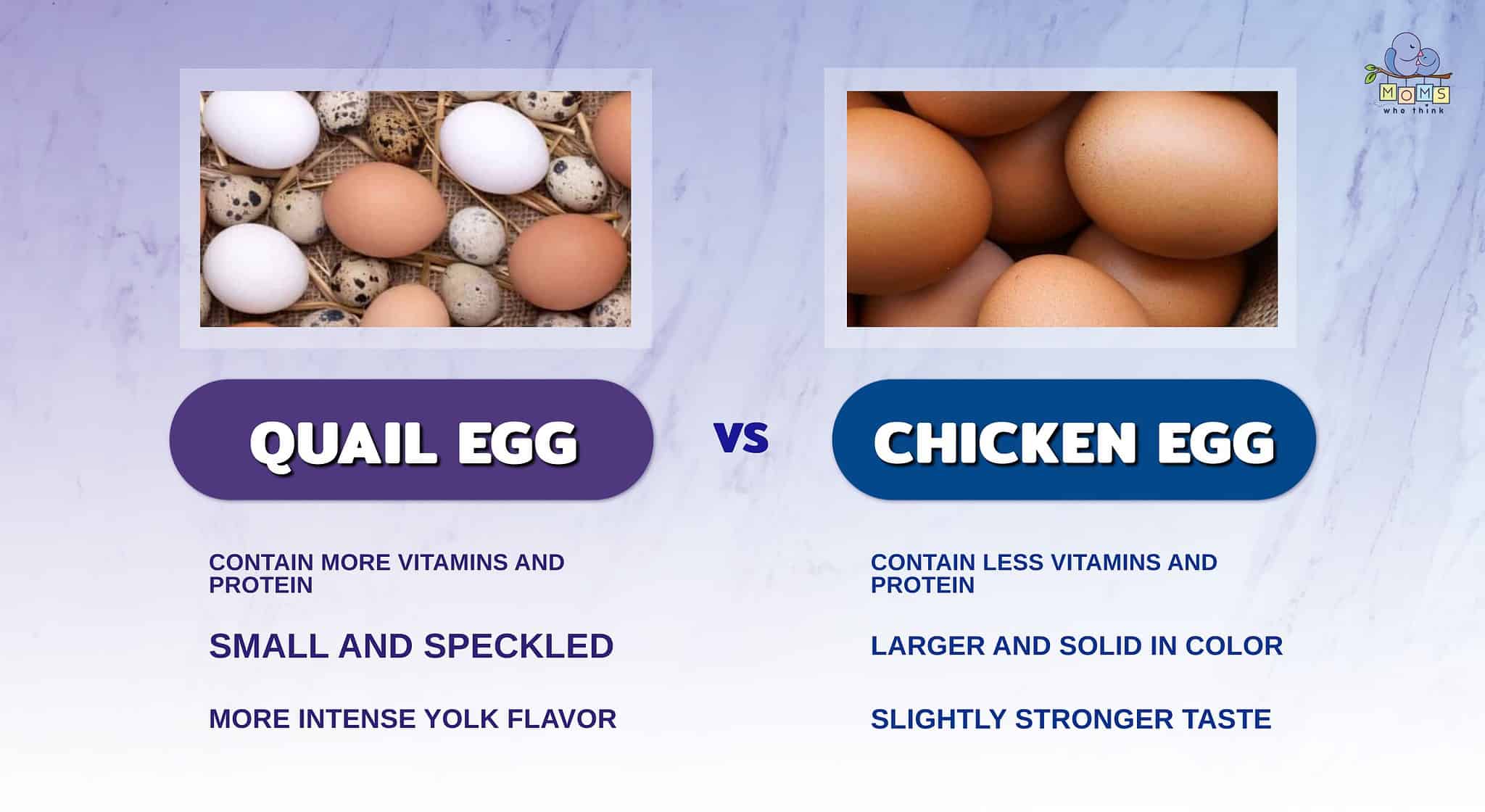 Quail Eggs vs. Chicken Eggs: Size, Taste, and Cost Showdown