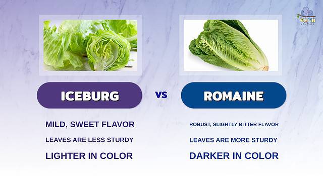 Iceberg Lettuce vs. Romaine: Flavors, Vitamins, and Tasty Substitutes