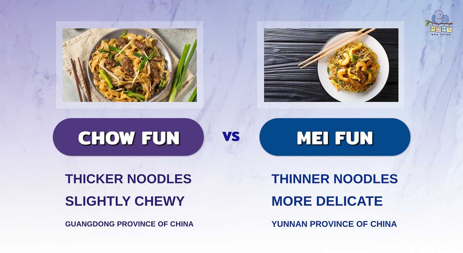 Chow Fun vs. Mei Fun: Unique Differences and Choosing the Healthier Option