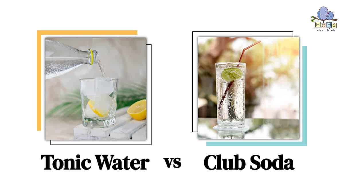 Tonic Water vs. Club Soda: 4 Key Differences & Which One is Best in Cocktails