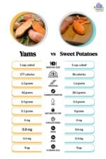 Yam vs. Sweet Potatoes: 7 Key Differences & Full Nutritional Comparison