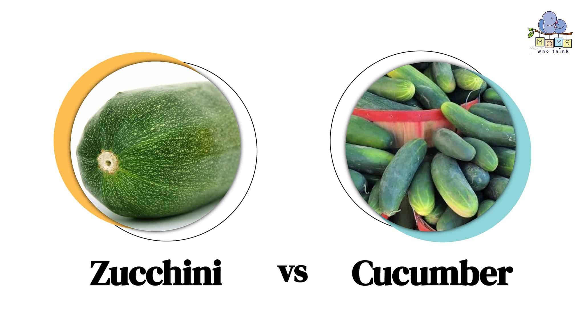 Zucchini vs. Cucumber: 6 Differences, Health Benefits for Each, & Recipes