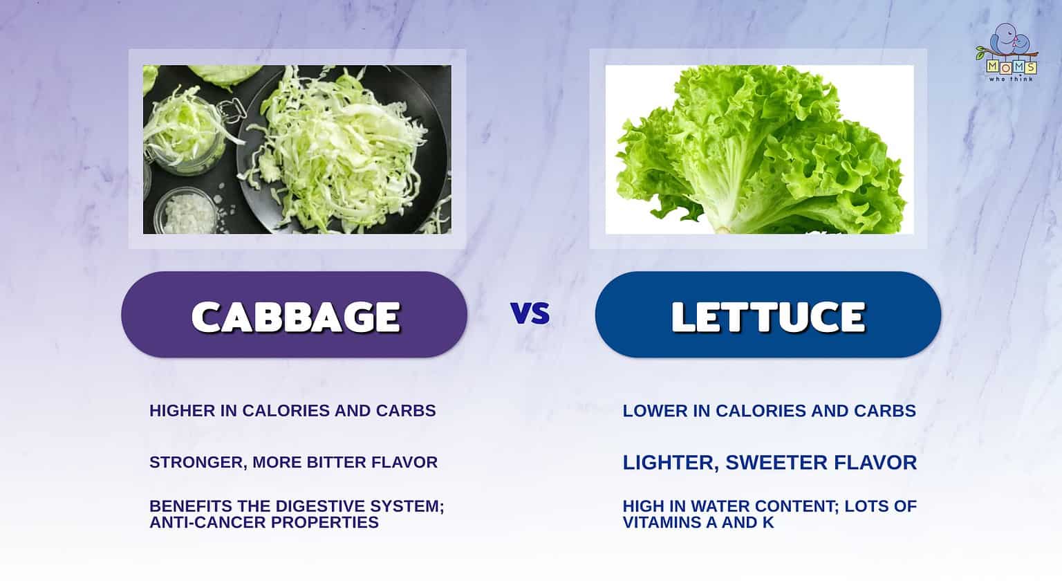 Cabbage vs Lettuce: 3 Main Differences Between the Two Vegetables