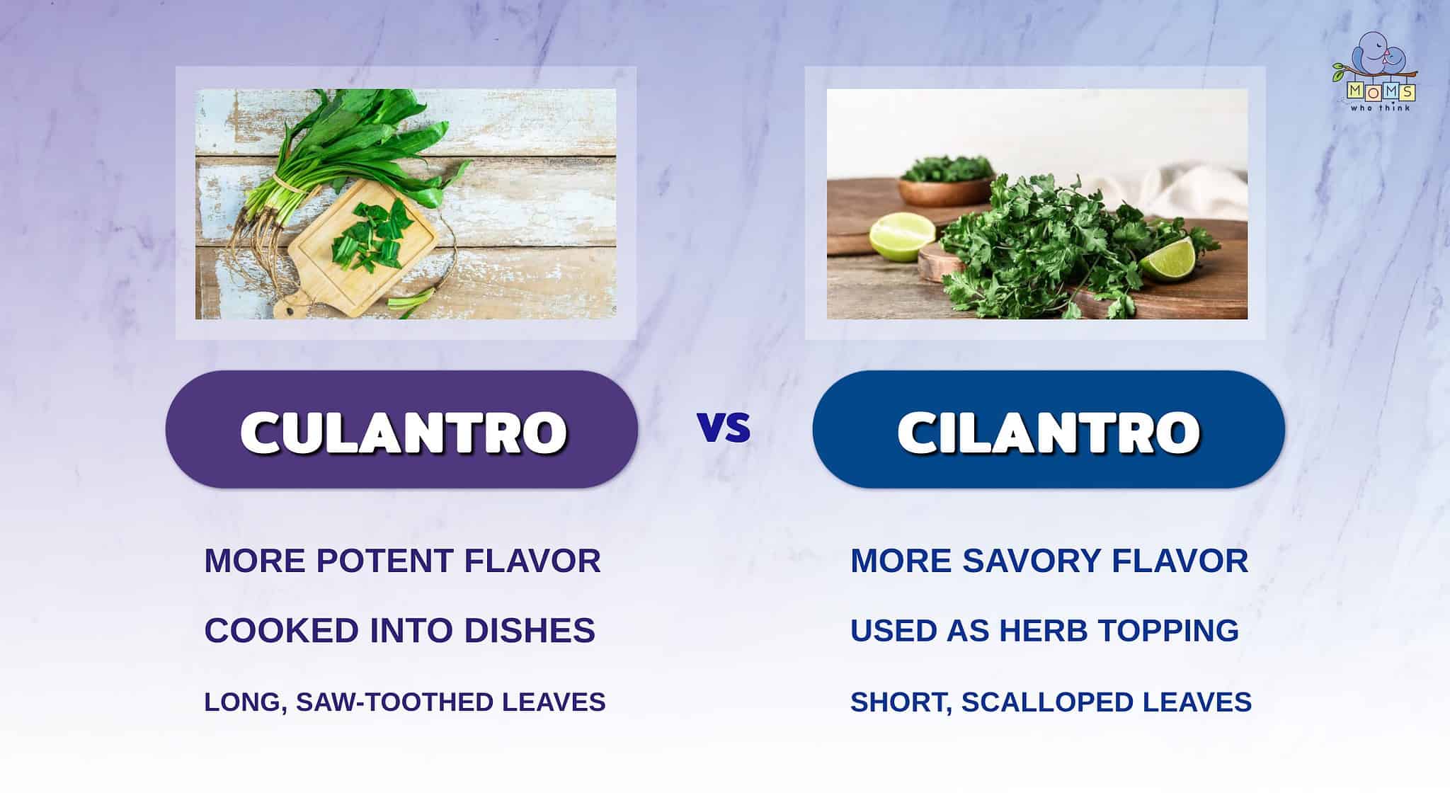 Culantro vs. Cilantro: Taste Differences & When to Use Each