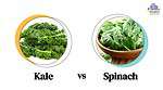 Kale vs. Spinach: Key Differences and Nutritional Breakdown