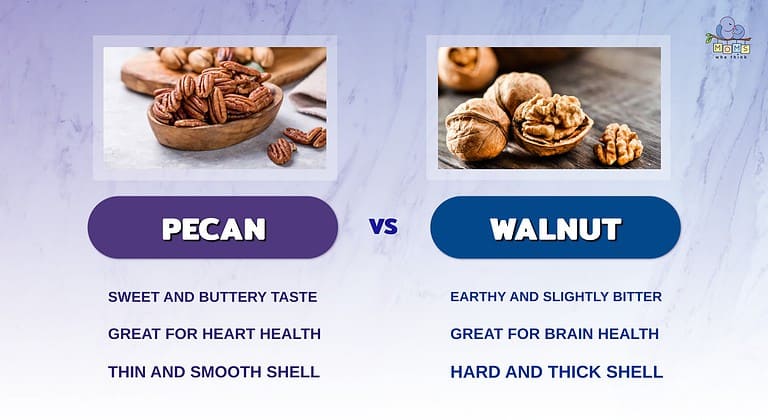 Pecan vs. Walnut: TWO Nutrition Powerhouses – Which is Healthier?