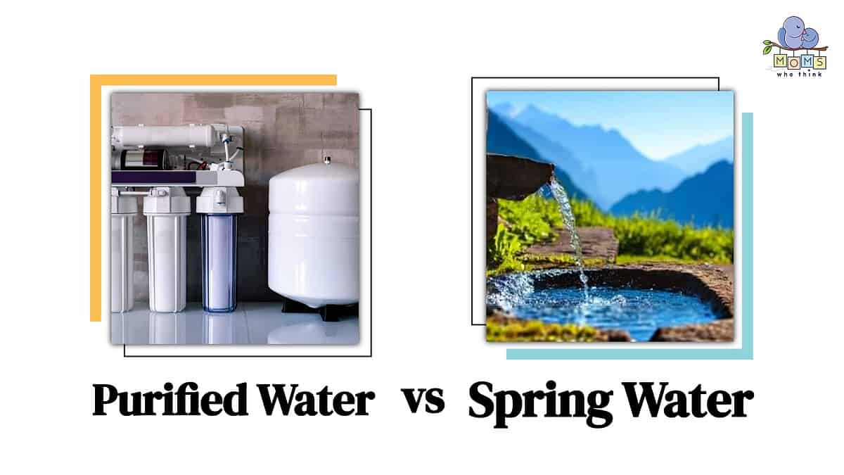 Purified vs. Spring Water: 4 Differences & Pros and Cons