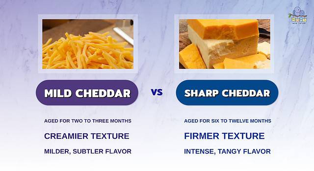 Tasting the Differences: Mild Cheddar vs. Sharp Cheddar