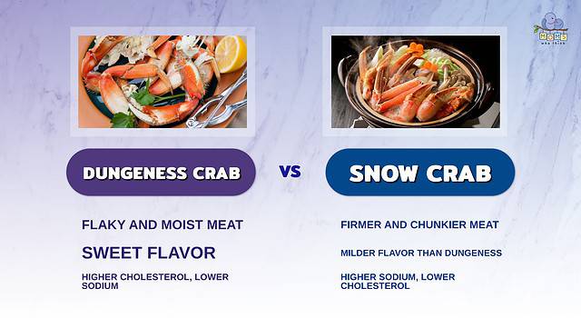 Dungeness Crab vs. Snow Crab: Taste and Cooking Differences