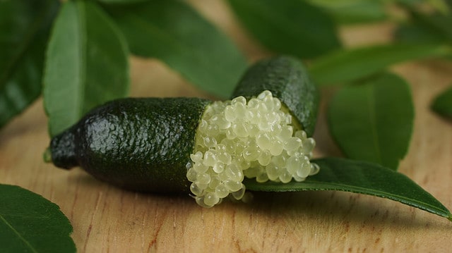 Lime vs. Lemon: 4 Key Differences and Health Benefits