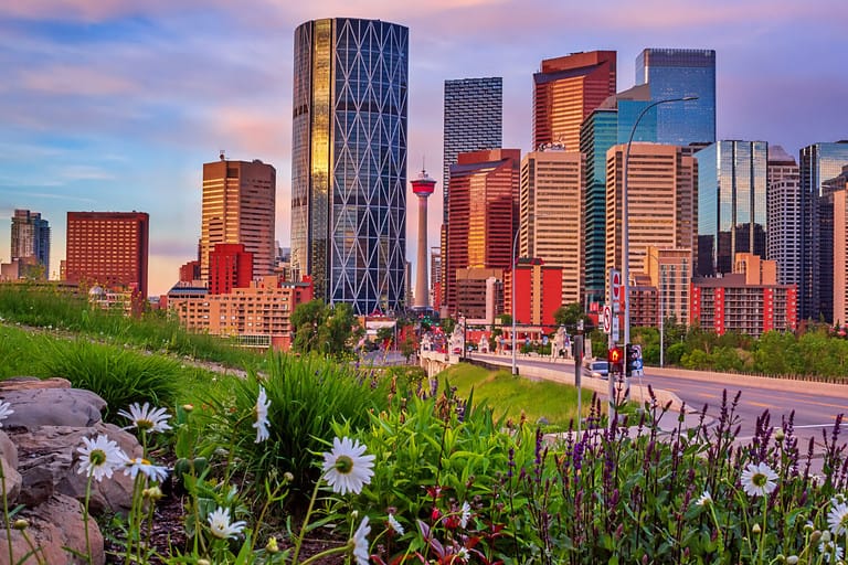 The 12 Best Schools in Calgary Today