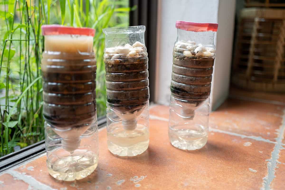 Purified vs. Spring Water: 4 Differences & Pros and Cons