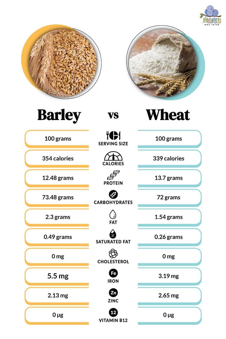 Barley vs. Wheat: 3 Key Differences & A Full Health Comparison