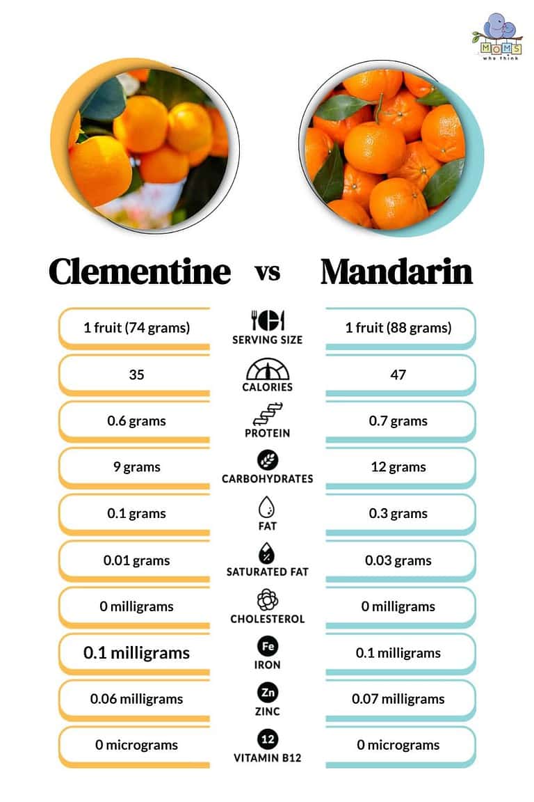 Clementine vs. Mandarin: The Key Differences & How They Compare to ...