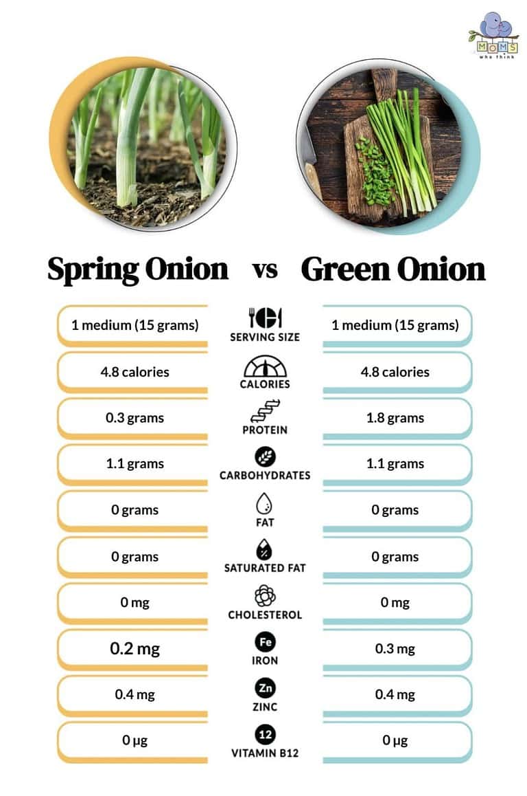 Spring Onion vs. Green Onion: 3 Differences Including Taste & When to ...