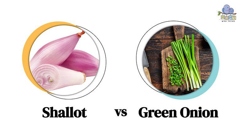 Shallots vs. Green Onions: How They're Different & Which is Healthier