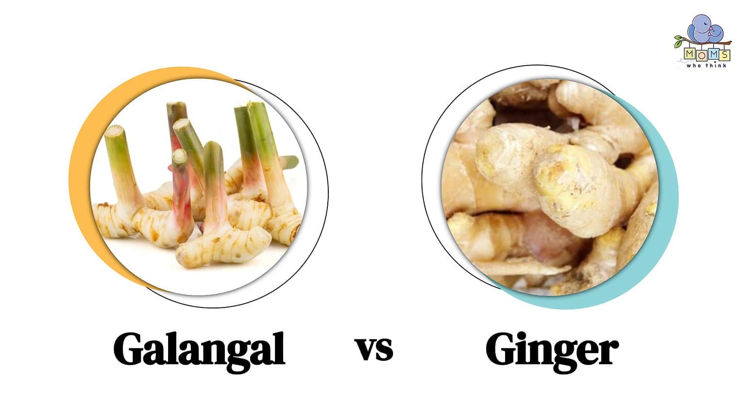Galangal vs. Ginger: When to Cook with Each & Key Differences
