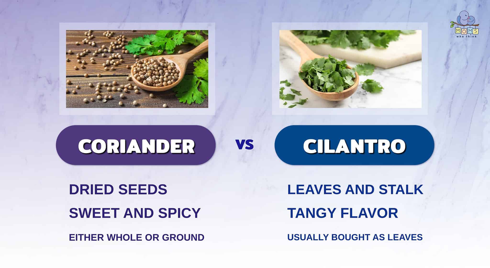Coriander vs. Cilantro: 3 Key Differences & Full Nutrition and Health ...