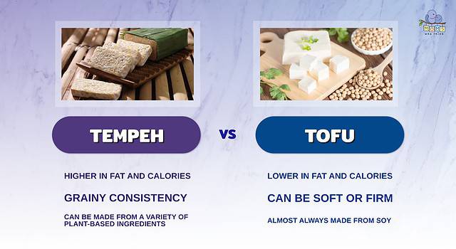 Tempeh vs. Tofu: Which is Healthier & 4 Key Differences