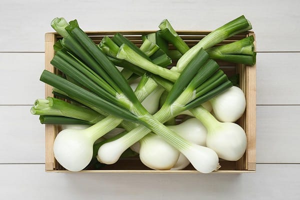 Spring Onion vs. Green Onion: 3 Differences Including Taste & When to ...