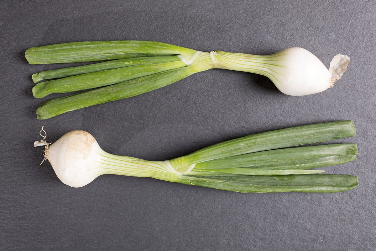 Spring Onion vs. Green Onion: 3 Differences Including Taste & When to ...