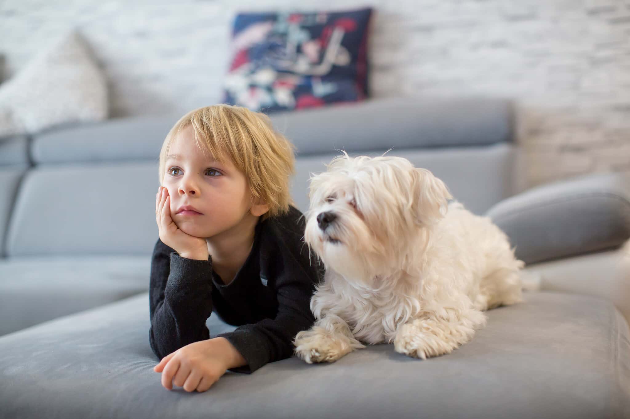 Are Maltese Good With Kids?