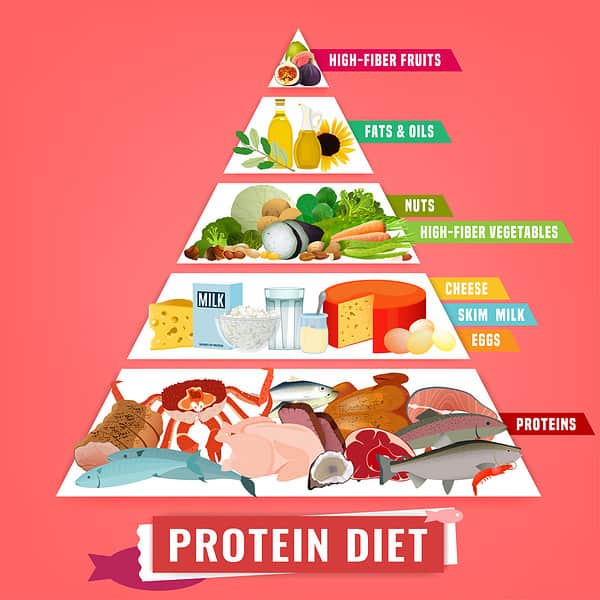 This Simple High Protein Diet Chart Makes So Much Sense
