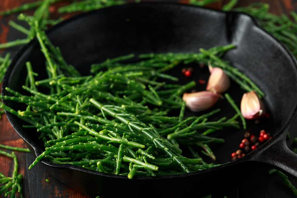 What is Samphire? How to Cook, Taste, Health Benefits & Recipes