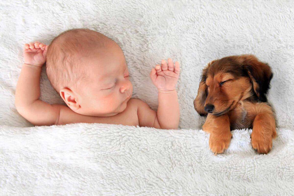 The Most Popular Baby Boy Names of 1971