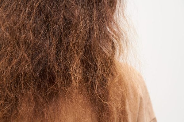 The Best 6 Shampoos for Extremely Dry Hair and Where to Buy Them