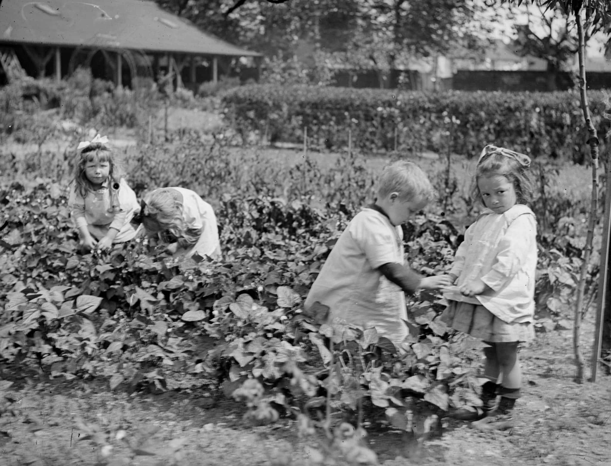 Rare Photos Showing What Growing Up in the 1920s Was Really Like