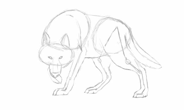 8 Steps To Draw a Wolf